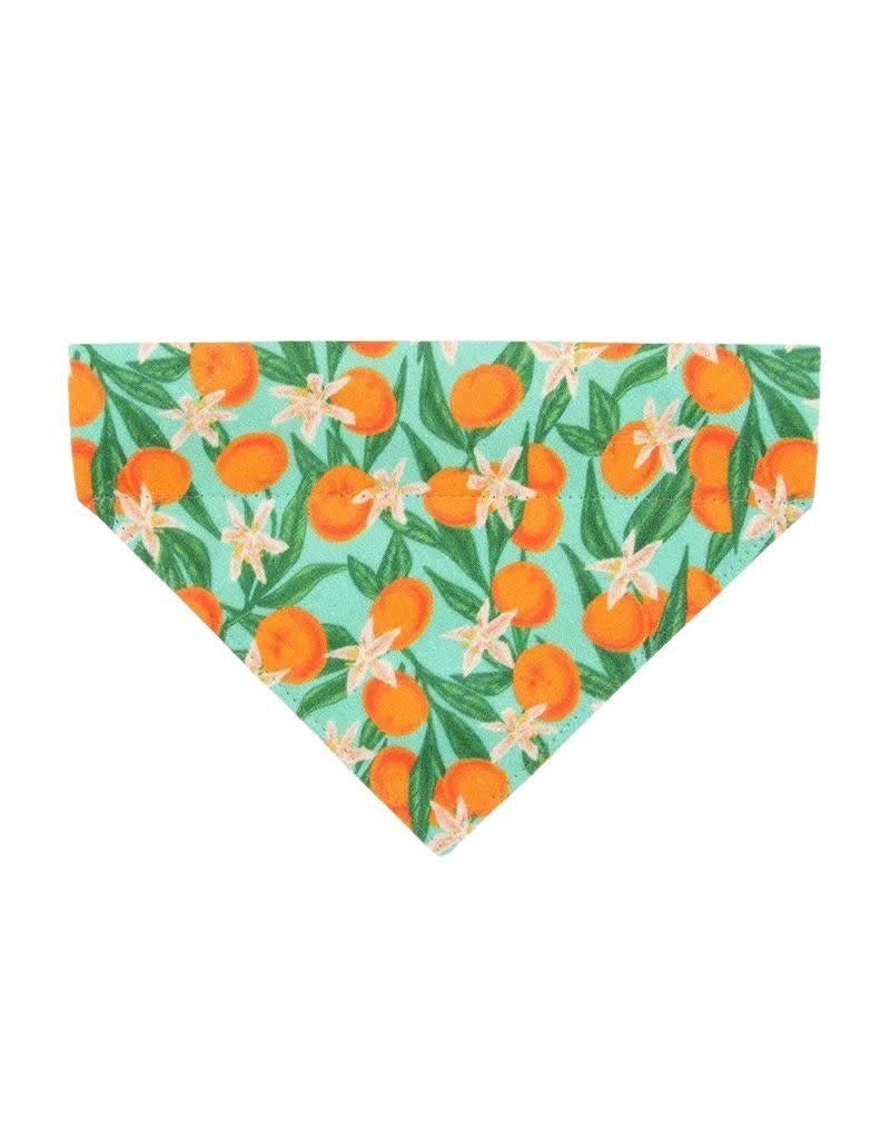 MADE BY CLEO Cat Bandana Clementine Blossom