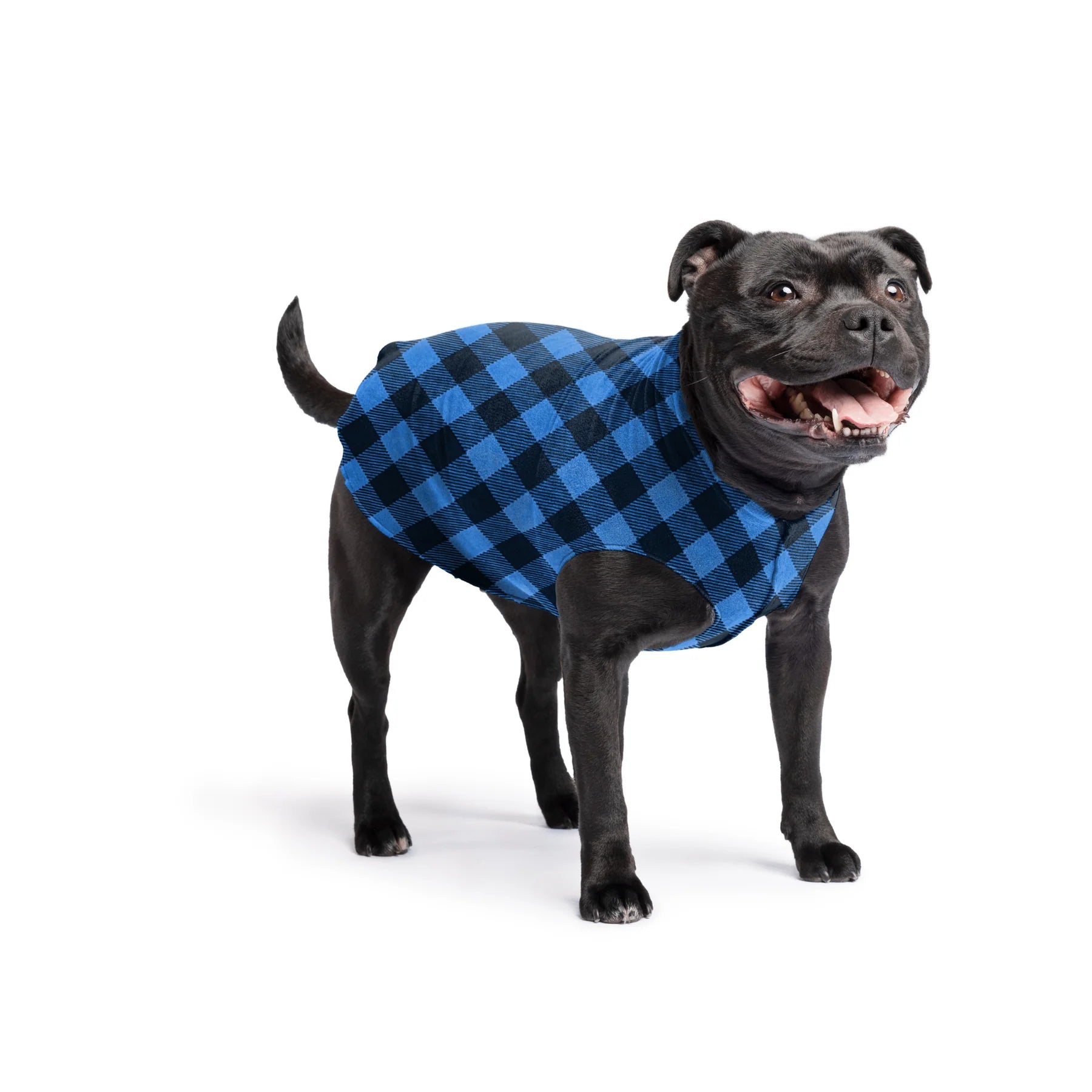 GOLD PAW Stretch Fleece Cobalt Buffalo Check
