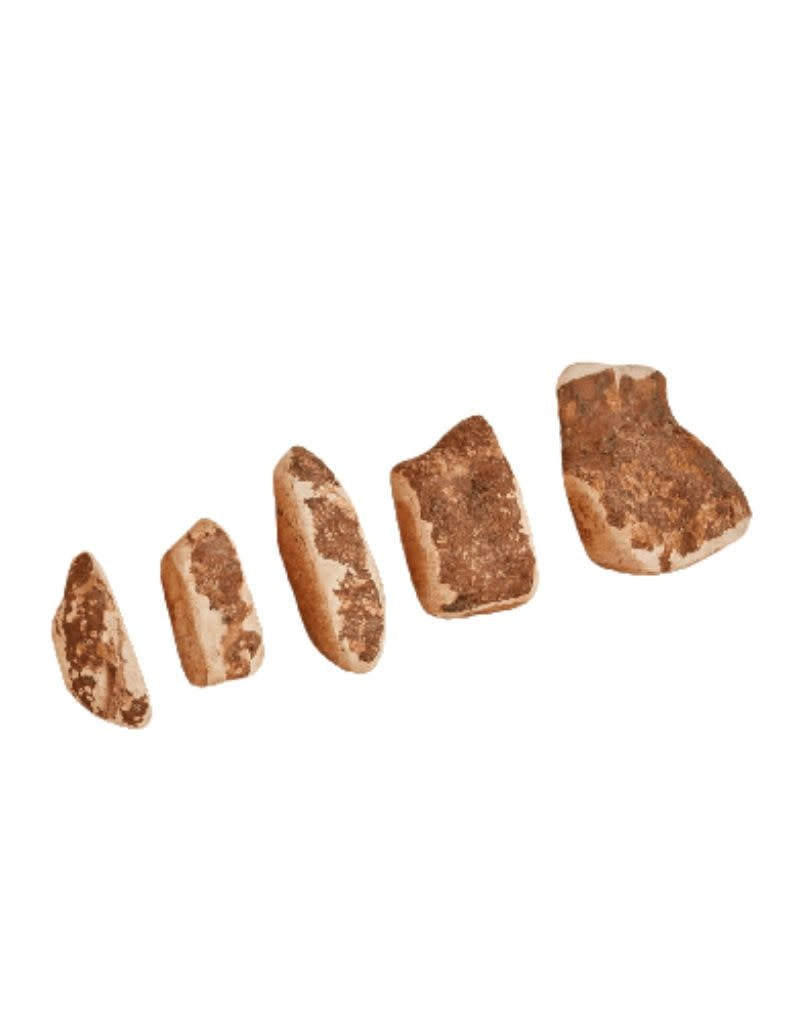CANOPHERA Briar Wood Chew